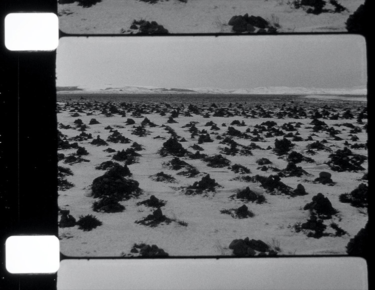 The Enduring Legacies of Women's Trauma: Interview with Poulomi Basu